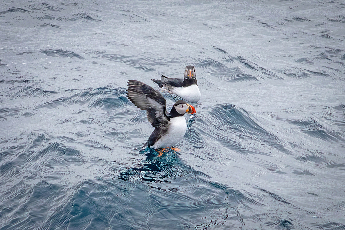 NSF Arctic Data Center Unlocking Arctic Secrets: A Look Into Scientific ...